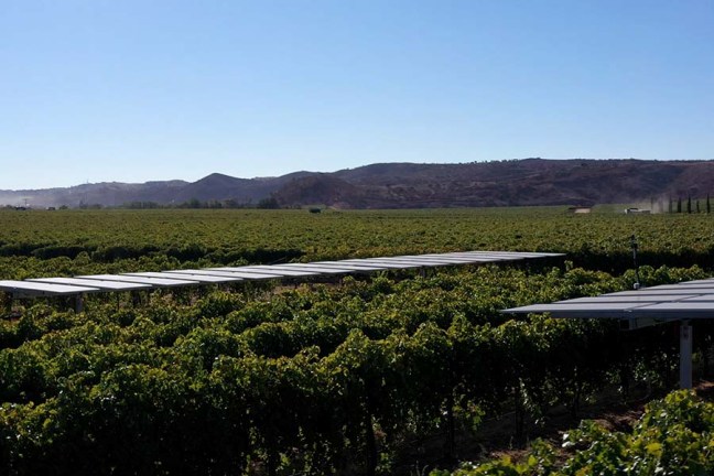 La agrovoltaica Winesolar de Iberdrola España recibe el “Premio ...